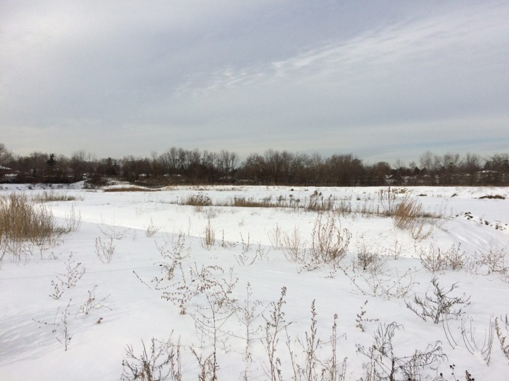 What is the eastern boundary of Port Credit? Answer: Enola Ave ...